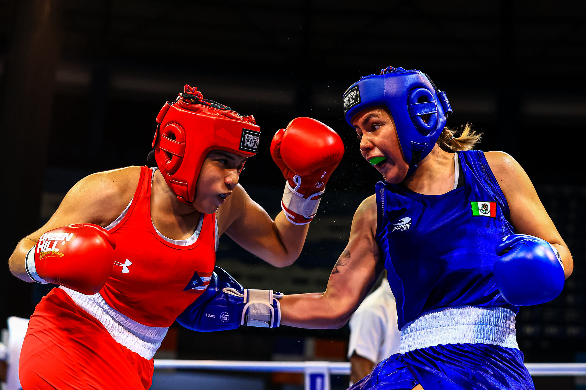Tamara Cruz regresa al ring