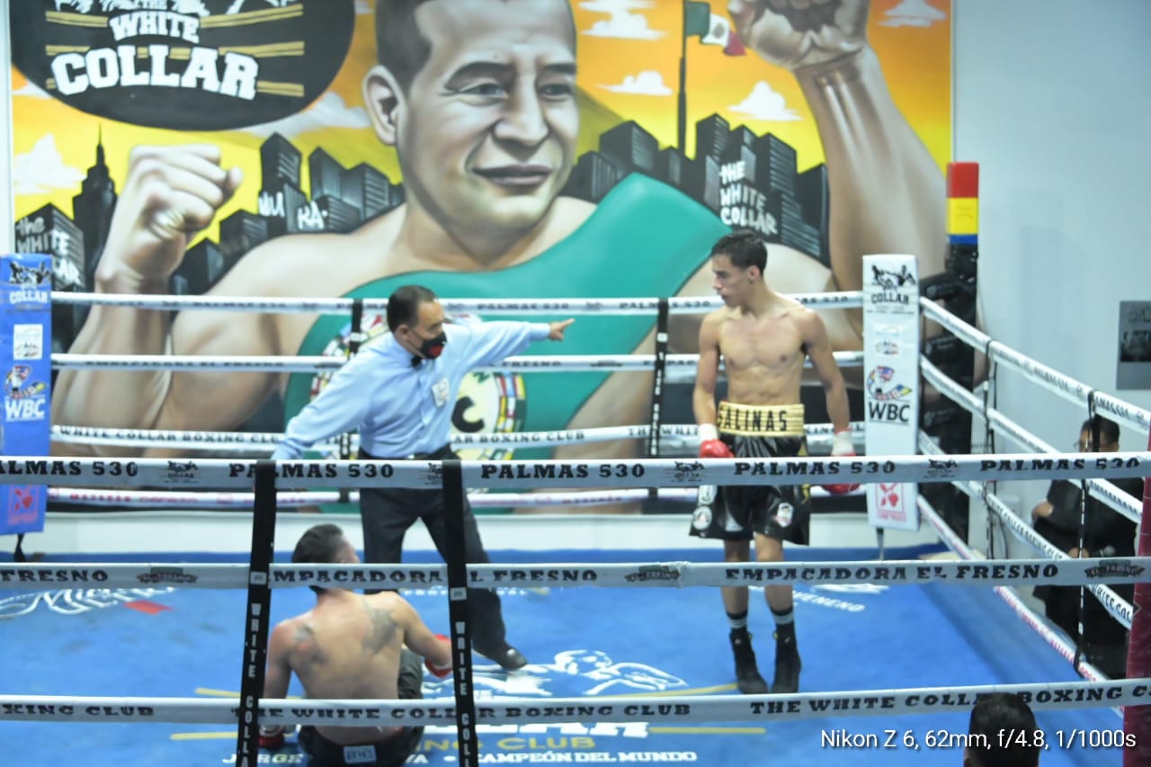 Gran noche de box en WCBC Arena