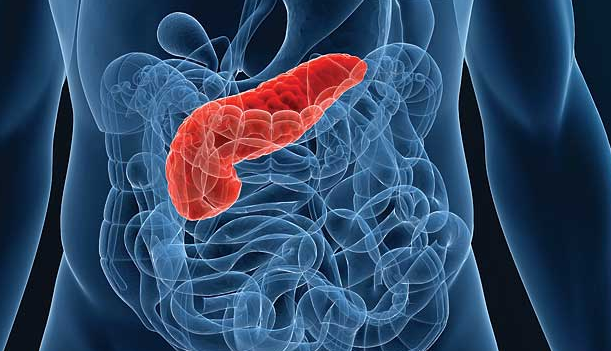 Prueban un páncreas artificial para pacientes con diabetes tipo 2. Te ...