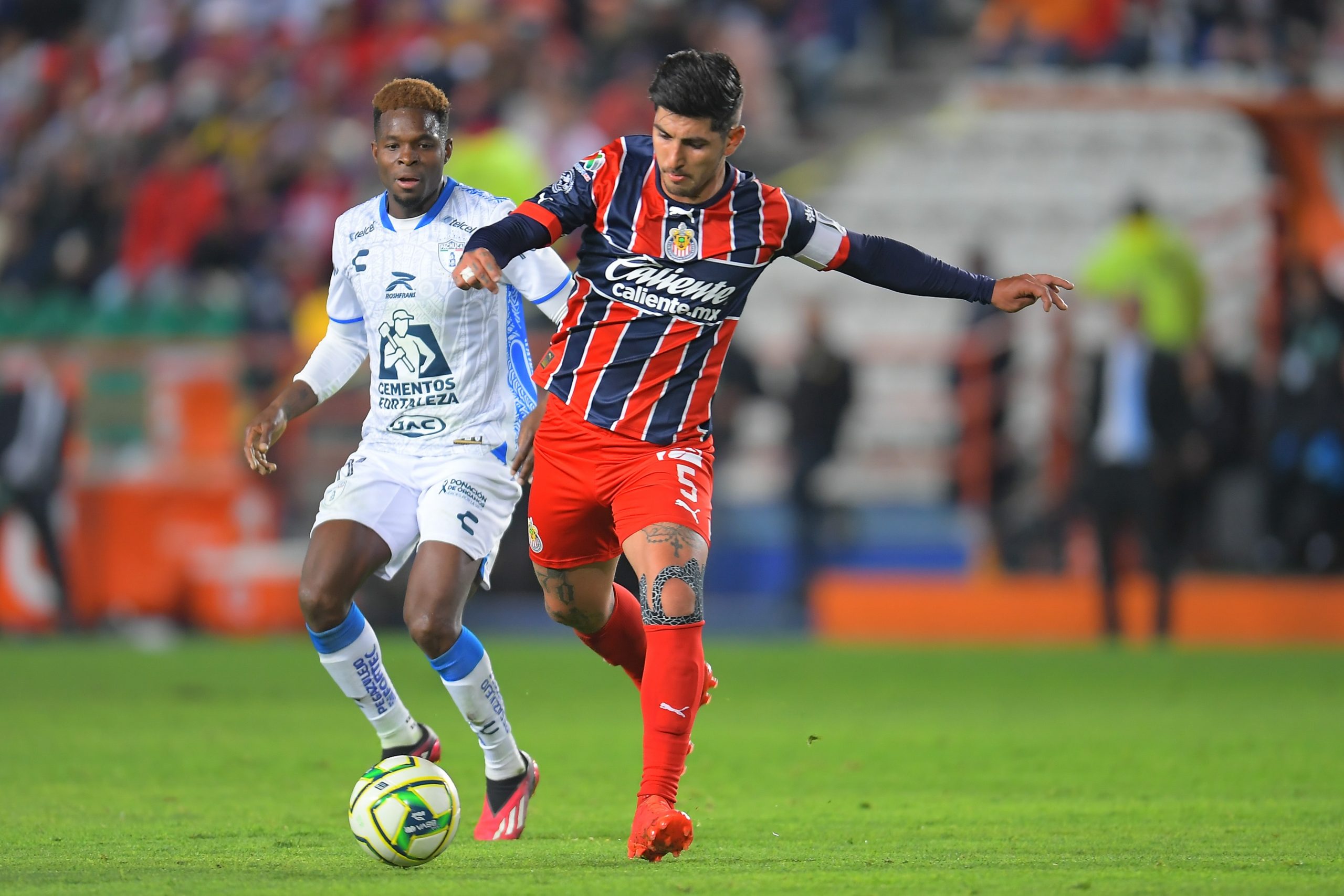 Pachuca y Chivas reparten unidades