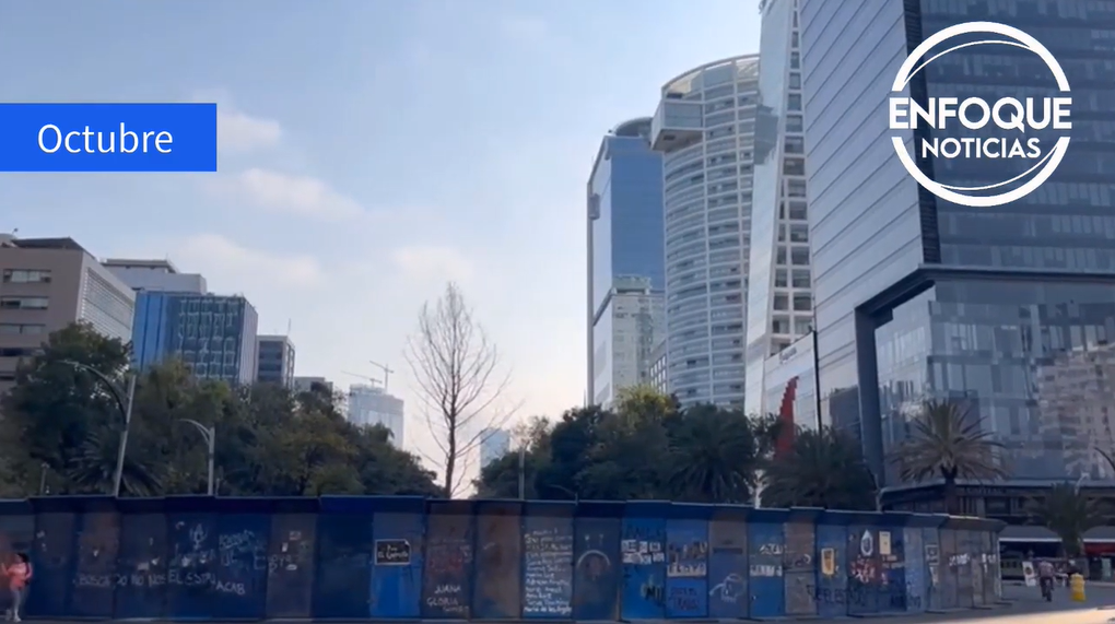 ¿Cuál será el destino del Ahuehuete de Reforma?