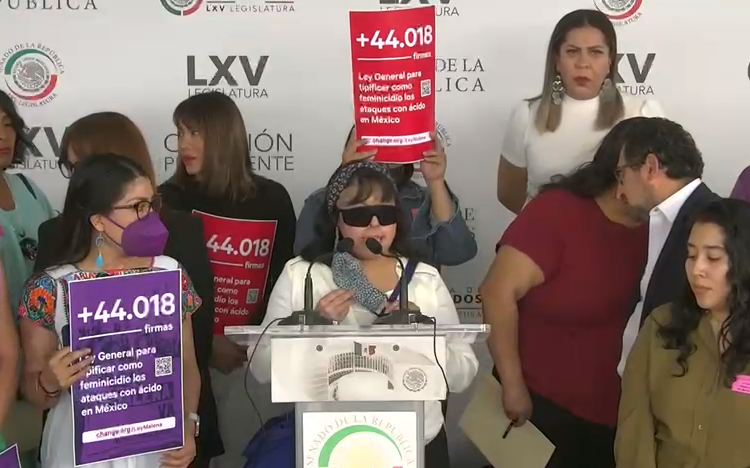 Presentan En El Congreso Ley Malena Para Castigar La “violencia Con