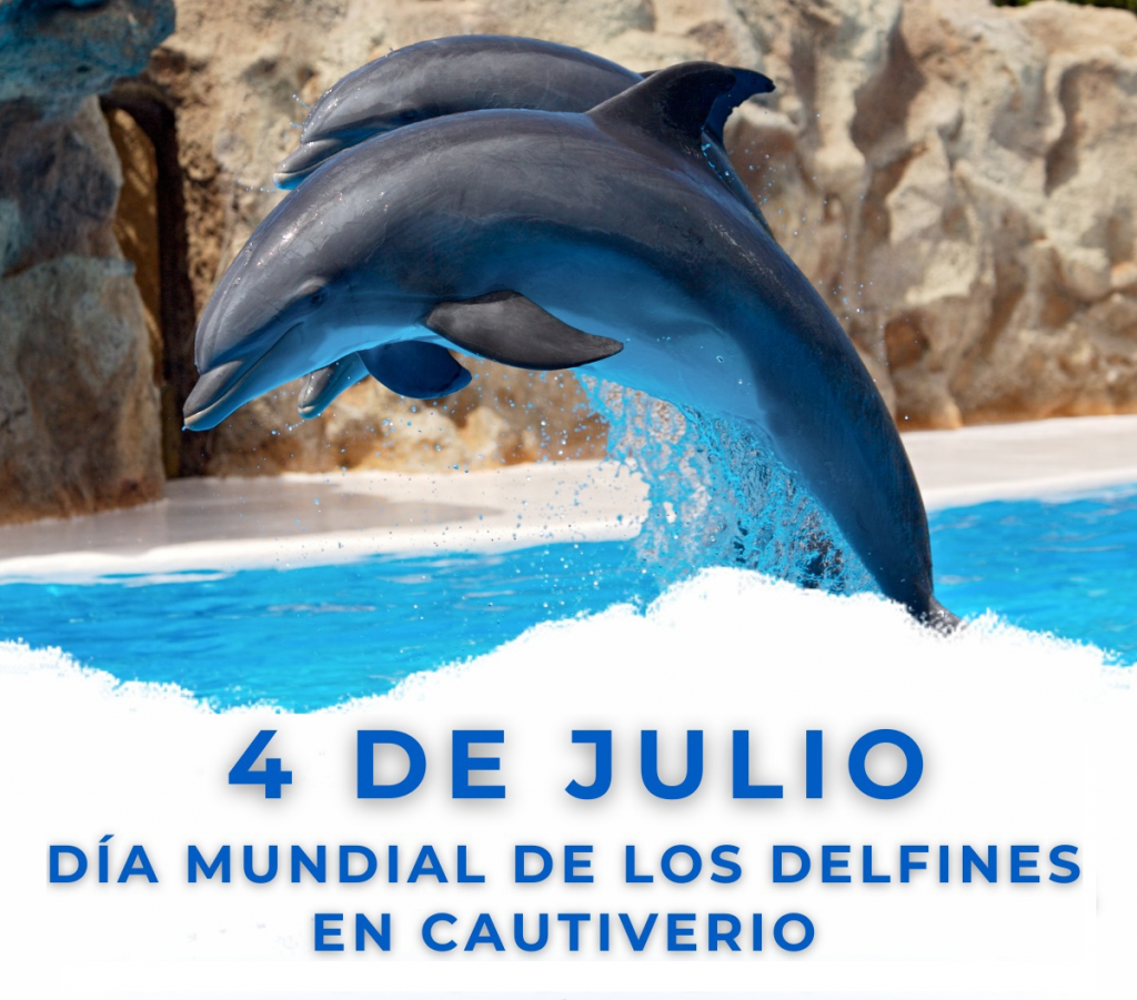 Día Mundial de los Delfines en Cautiverio