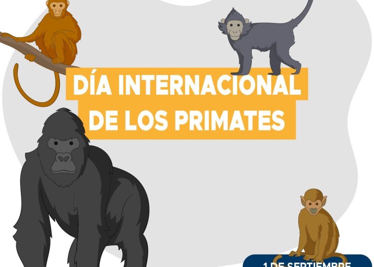 Día Internacional de los Primates