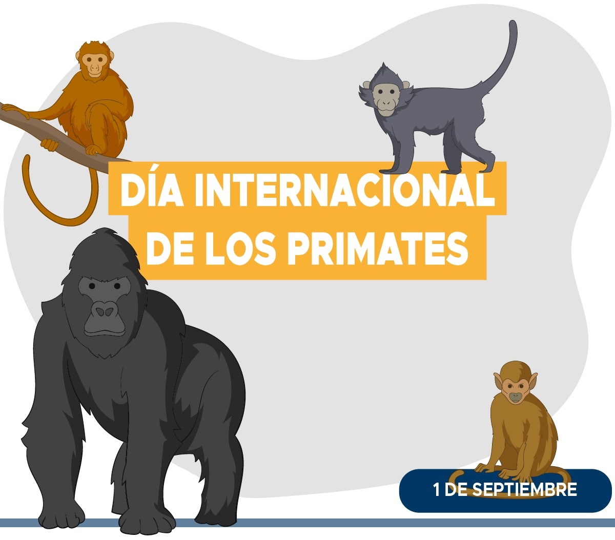Día Internacional de los Primates