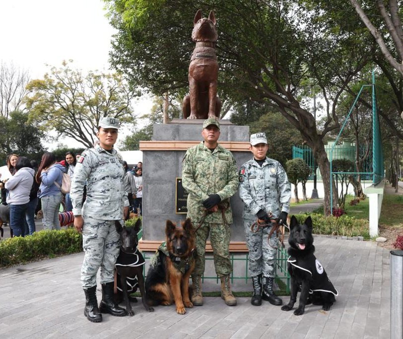 Ejército mexicano celebra cumpleaños de Arkadas, perro rescatista ...