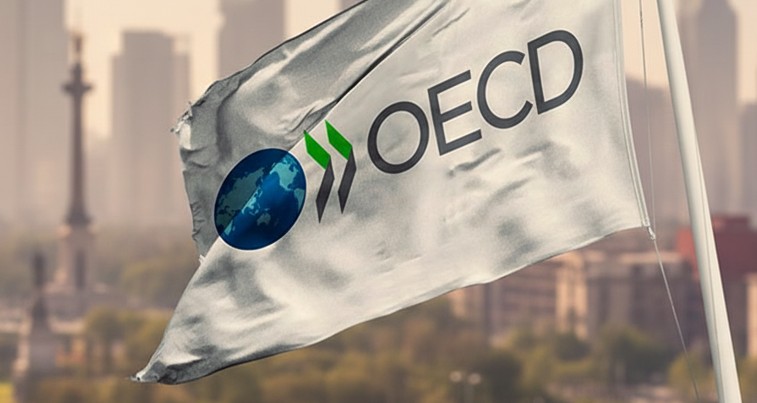 México asume la vicepresidencia del Comité del Acero de la OCDE y se ...